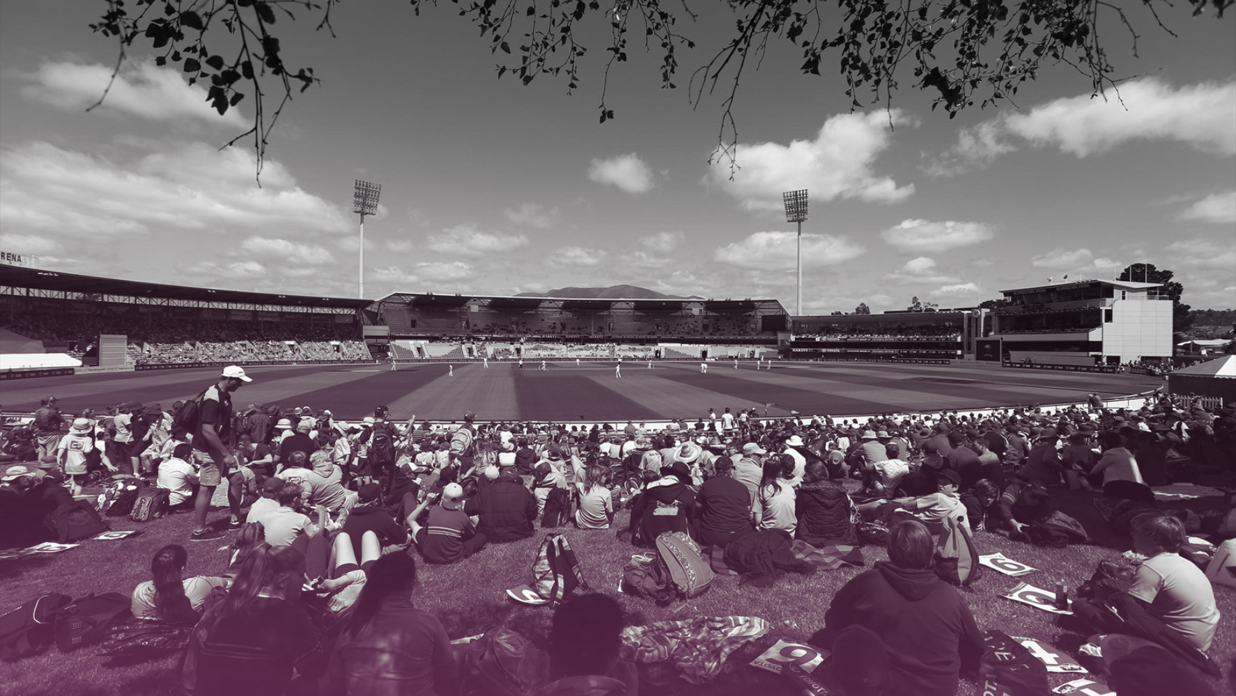 AFL - MKTG Specs